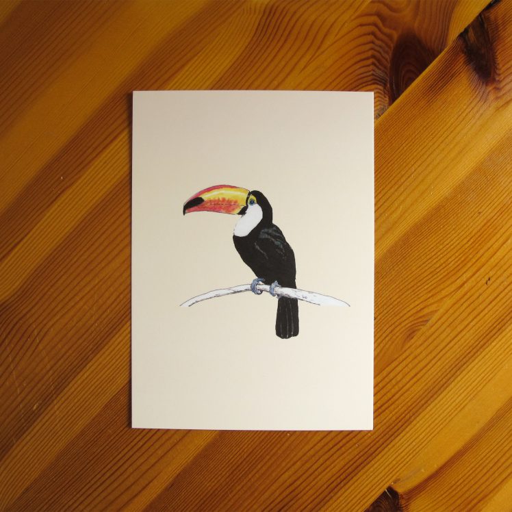 Toucan – Dan Tabata