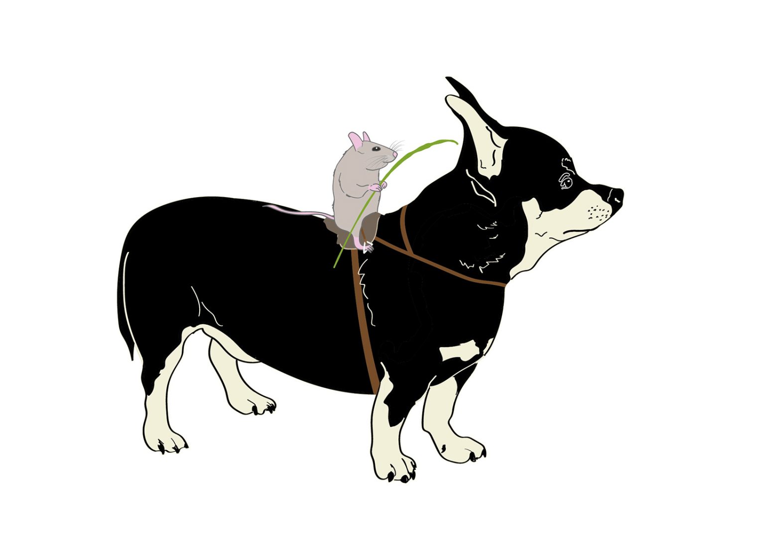 Mouse Rider – Dan Tabata